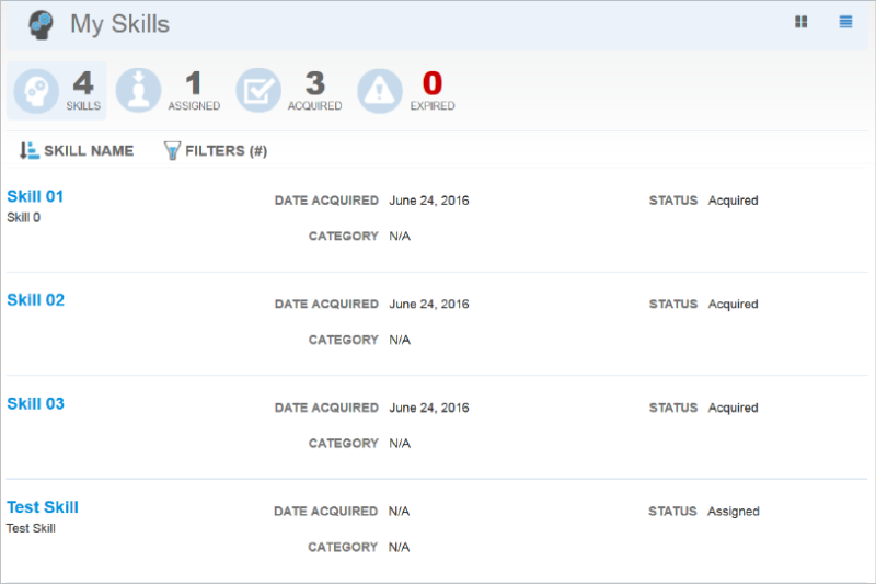 Adding a Custom Skills Widget